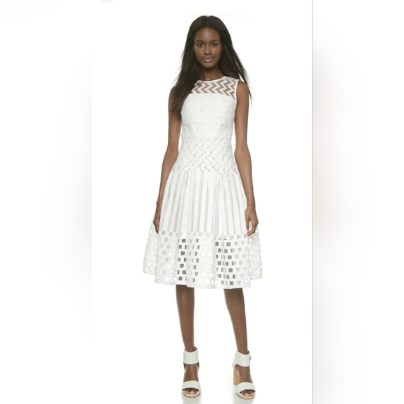 Milly | Dresses | Milly Illusion Filament Inverted Pleat White Aline ...